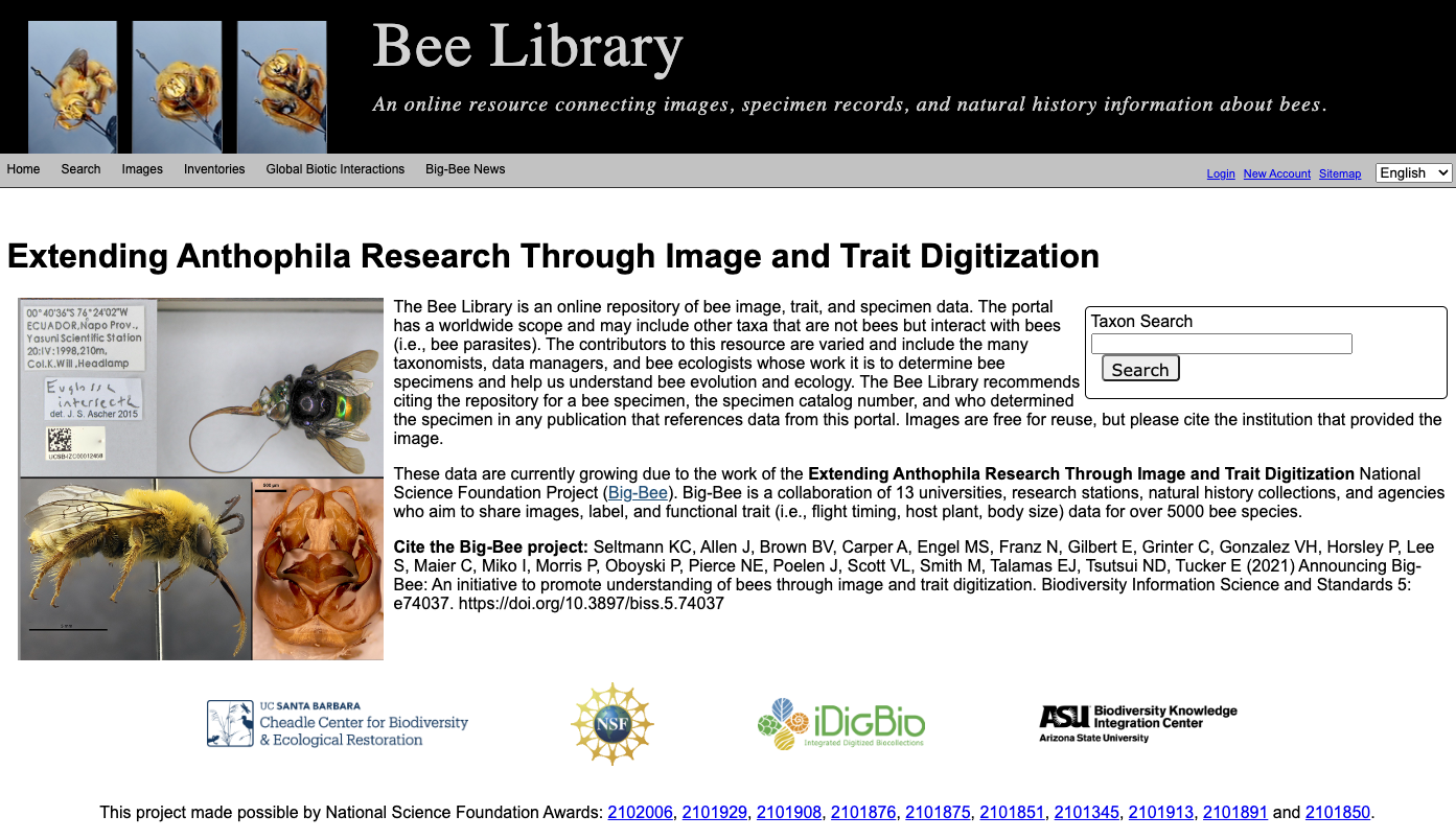 Coming Soon: Bee Data Mobilization Campaign – Symbiota
